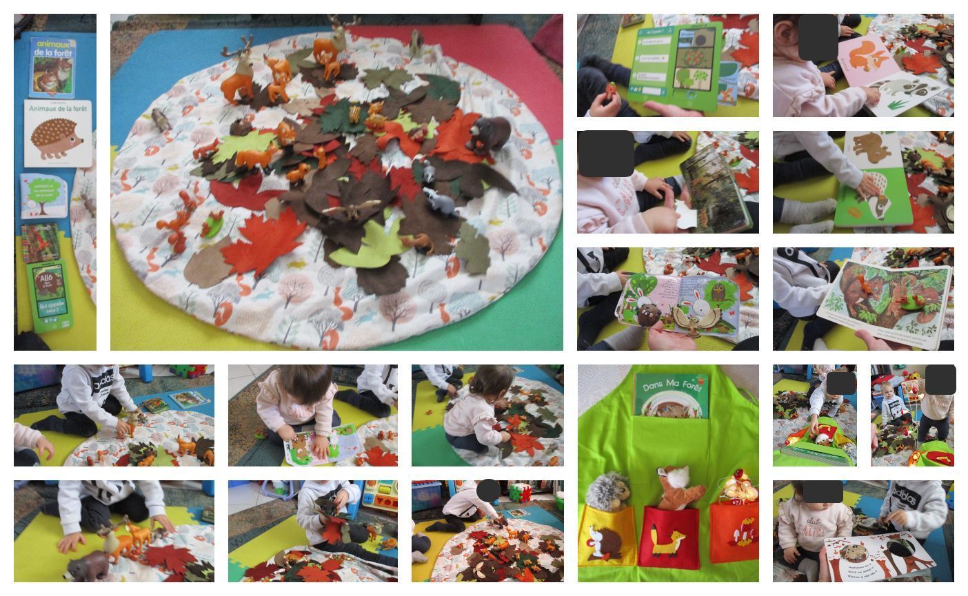 Petites activités avec les animaux de la forêt