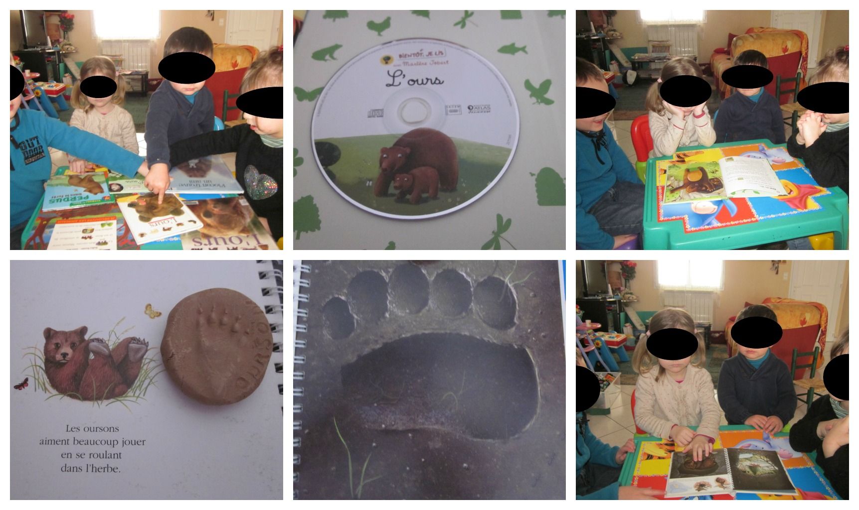 lecture approfondie : l'ours brun