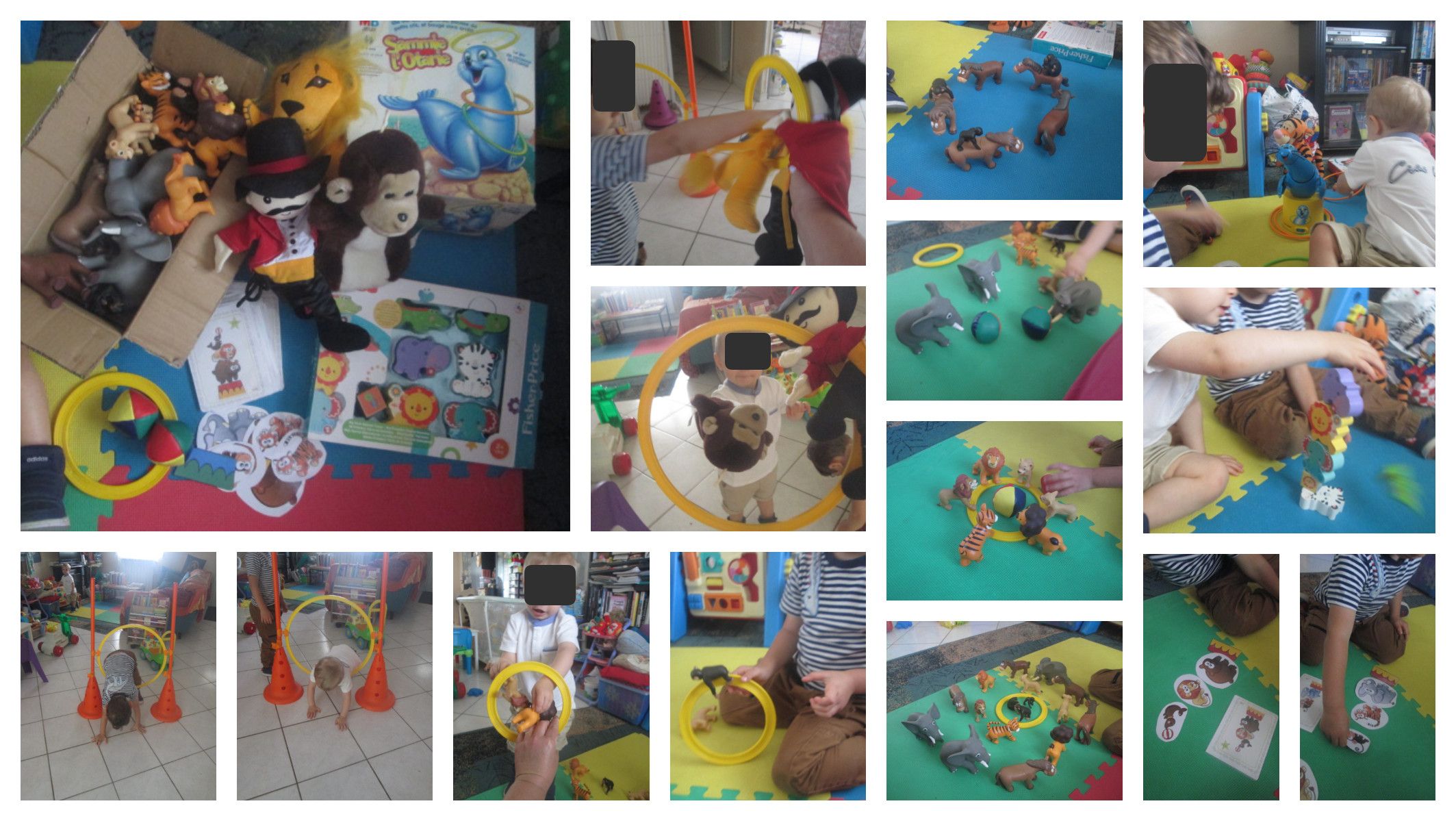 Petites activités avec les animaux du cirque