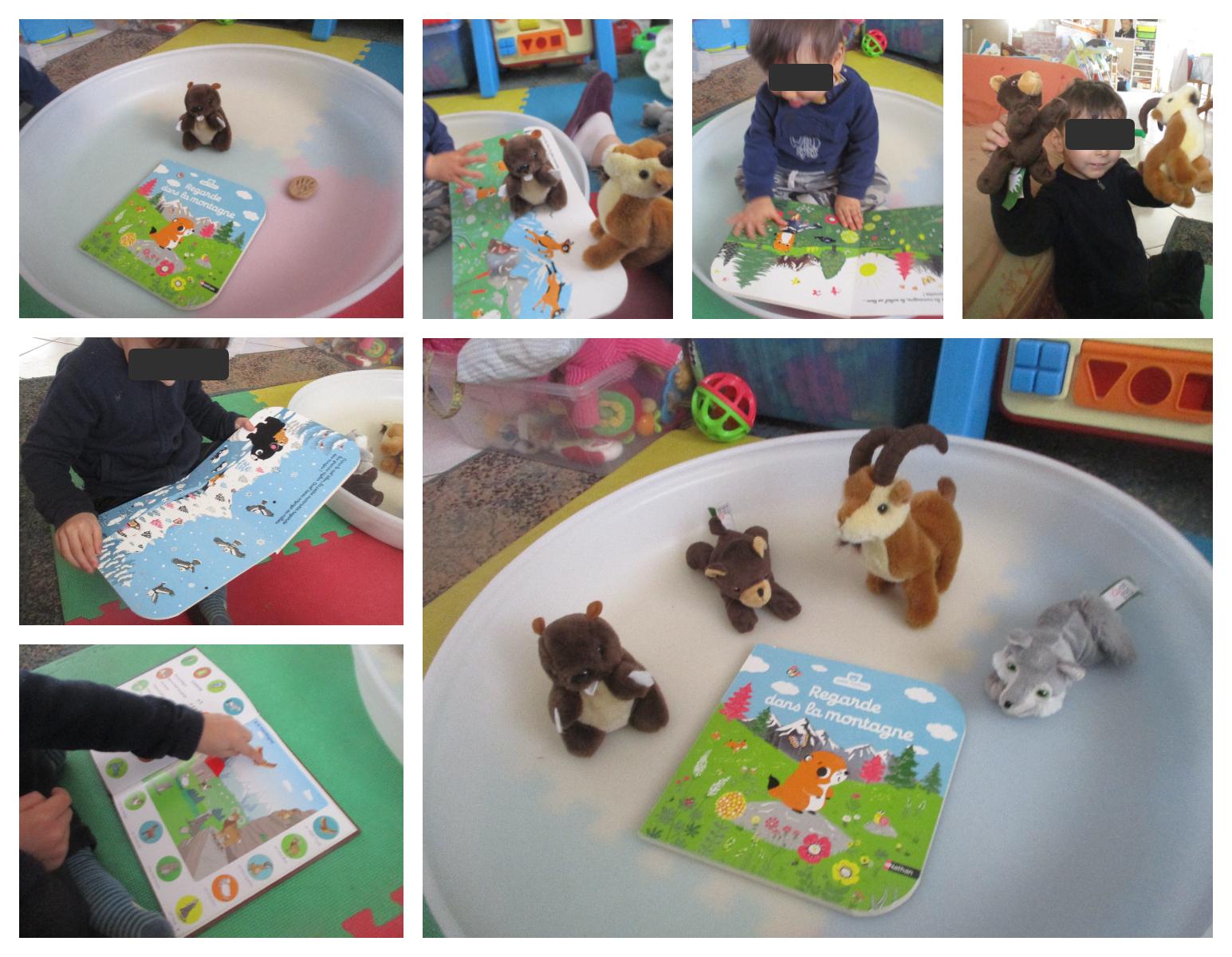 Petites activités avec les animaux de la montagne