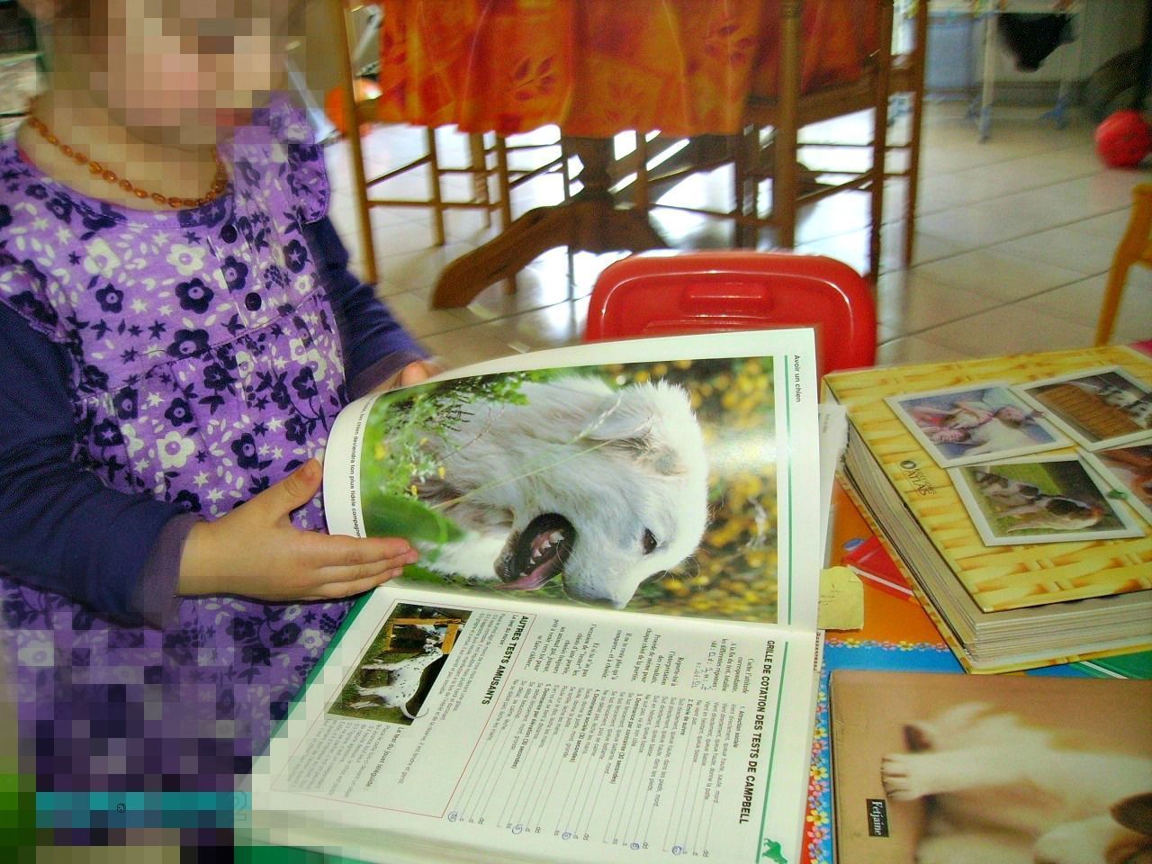 lecture approfondie : le chien - 1ère séance